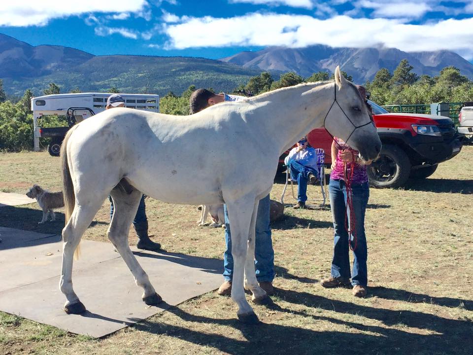 “Fortiter Ad Metam” – SoCo Endurance